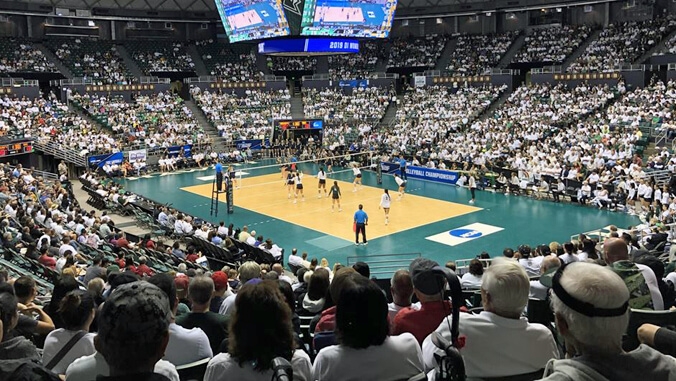 Hawaii Ahe Full capacity athletics crowds welcomed back on November 3 ...